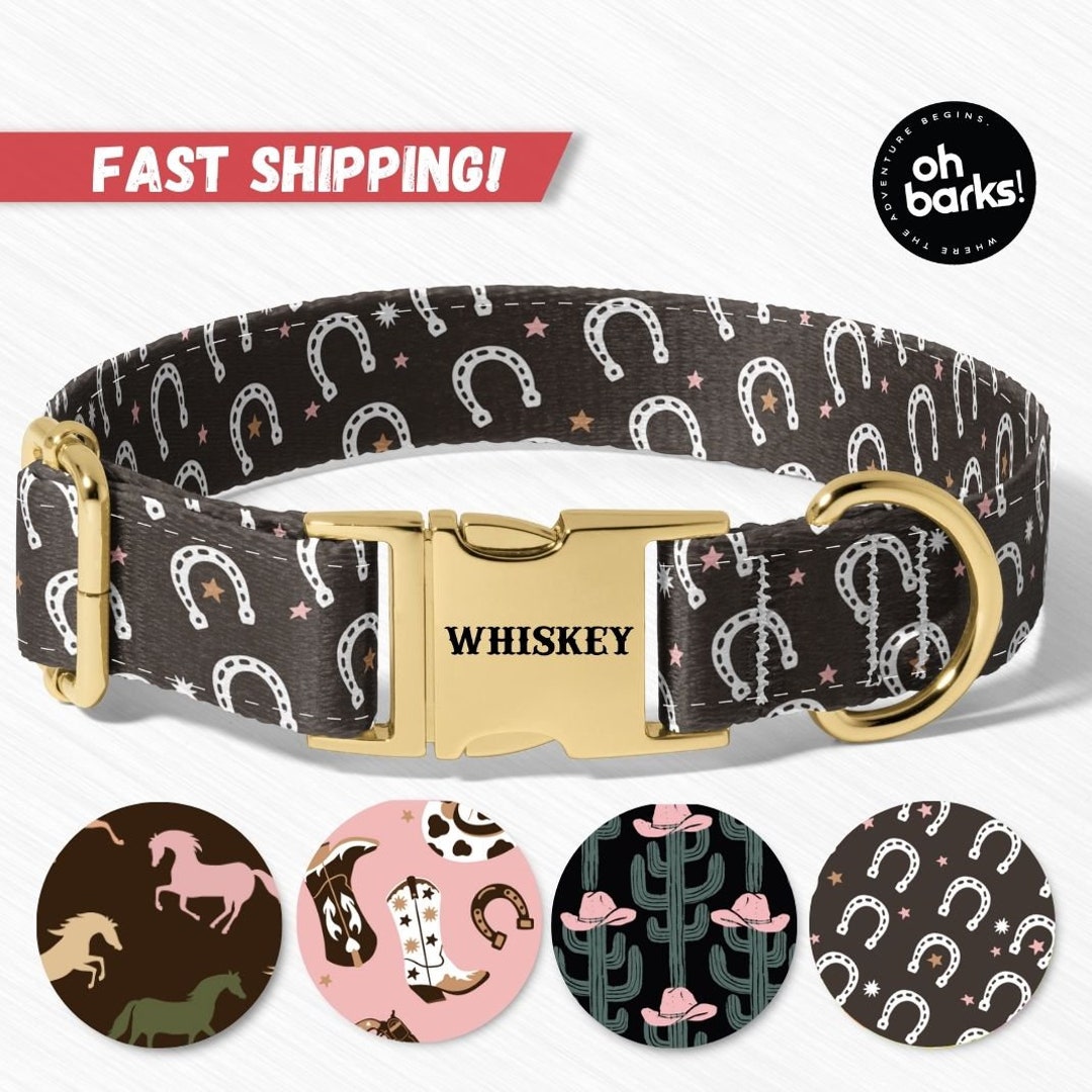 Cowgirl Chic Dog Collar , Western HORSESHOE Dog Collar , Country Dog ...