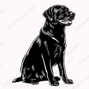 Labrador Svg, Black Dog Svg ,clipart Download,labrador Retriever Sit ...