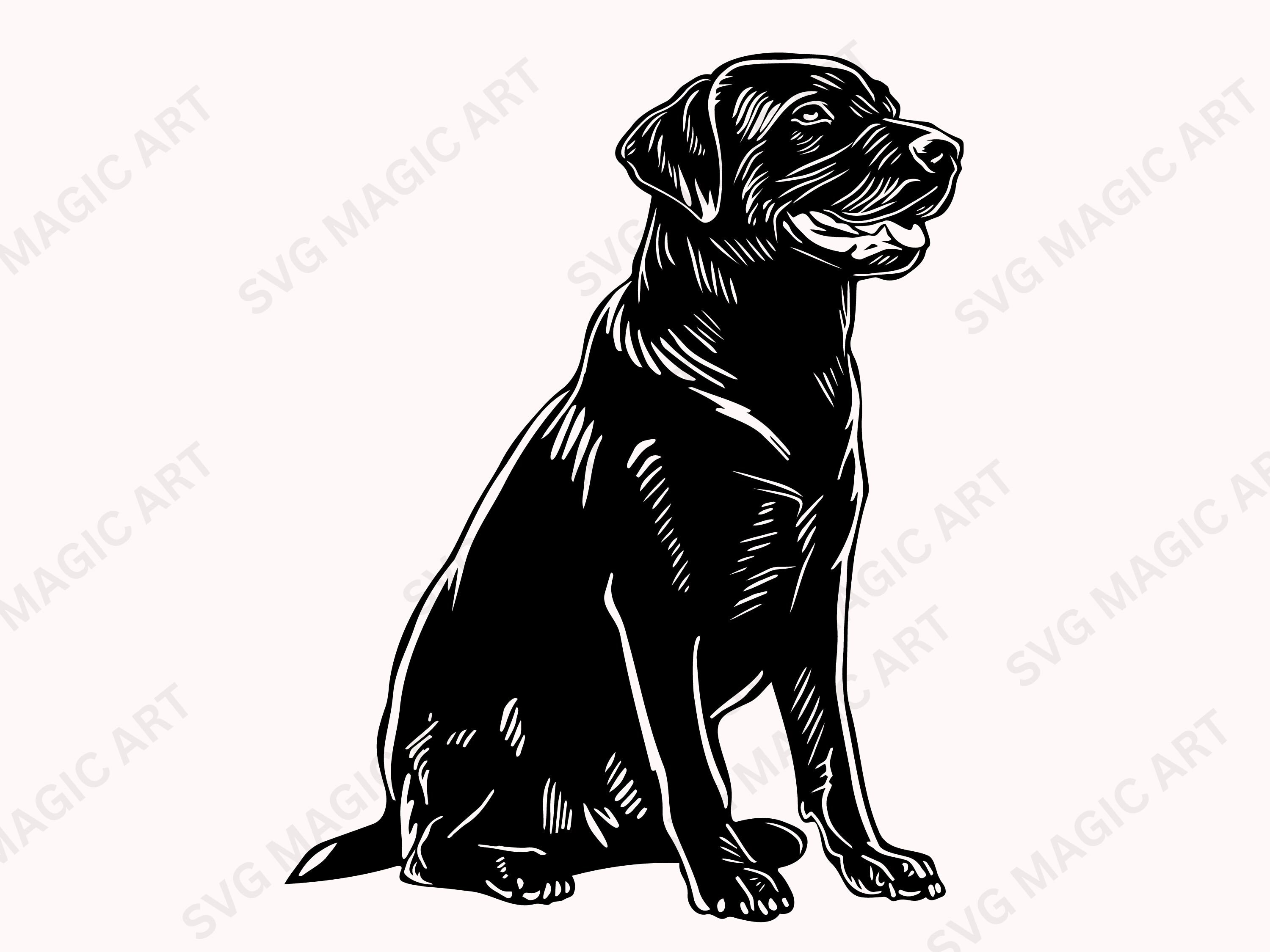 Labrador Svg, Black Dog Svg ,clipart Download,labrador Retriever Sit ...