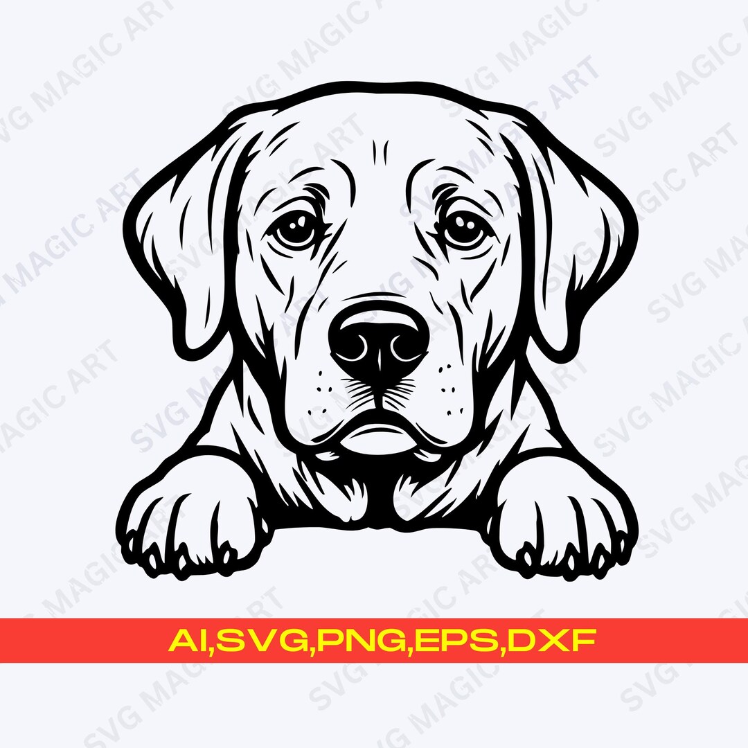 Labrador Retrievers Peeking SVG, Labrador Head Svg,portrait Dog Svg ...