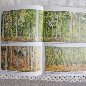 The Oxford Book of Trees by B E Nicolson Vintage Tree Book Tree ...
