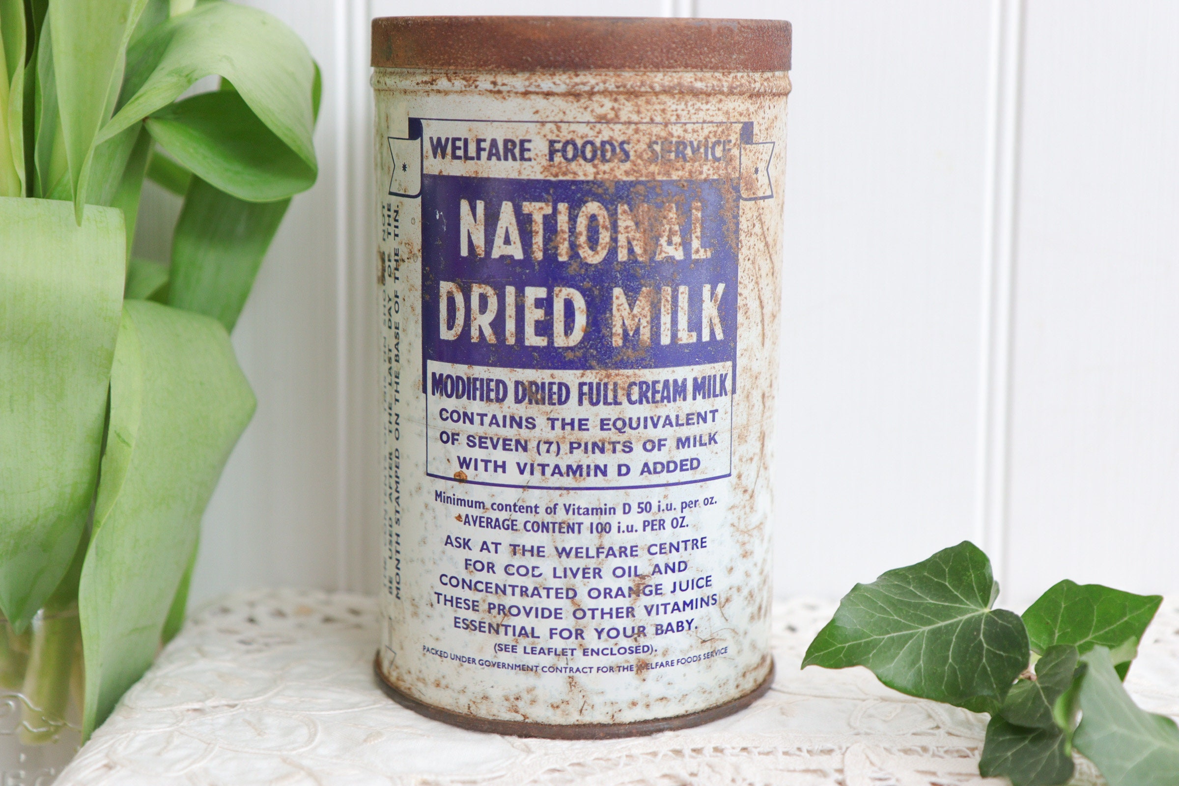 Government Powdered Milk