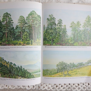 The Oxford Book of Trees by B E Nicolson Vintage Tree Book Tree ...