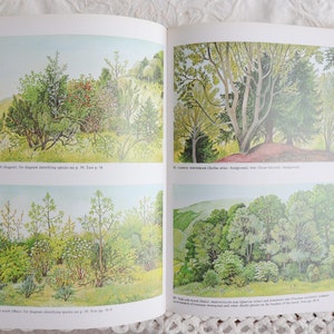 The Oxford Book of Trees by B E Nicolson Vintage Tree Book Tree ...