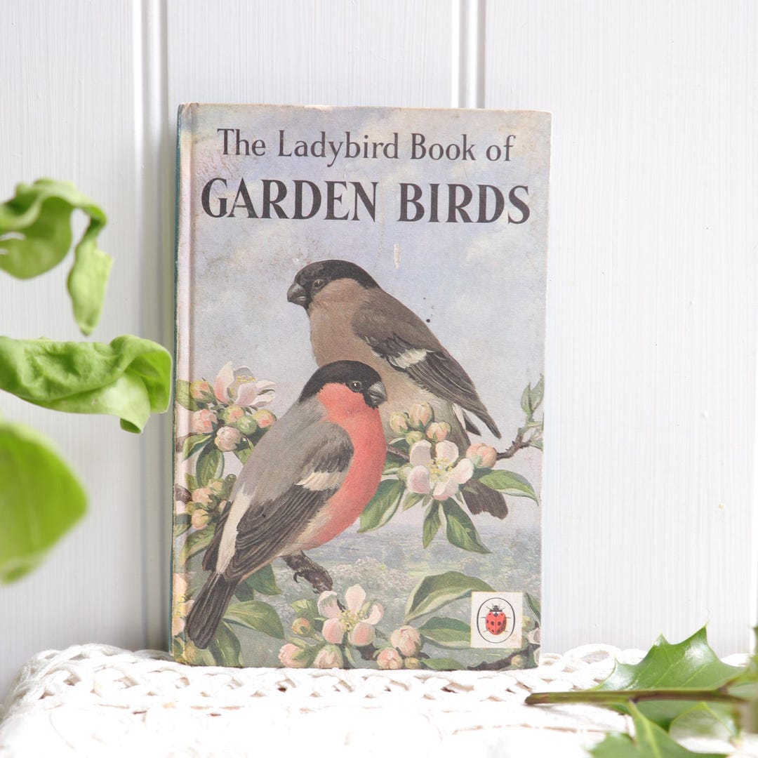 Vintage Garden Birds Ladybird Book - Stunning Illustrations - Helpful ...