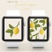 Smartwatch Lock Screen Apple Watch Wallpaper Watch Face - Etsy