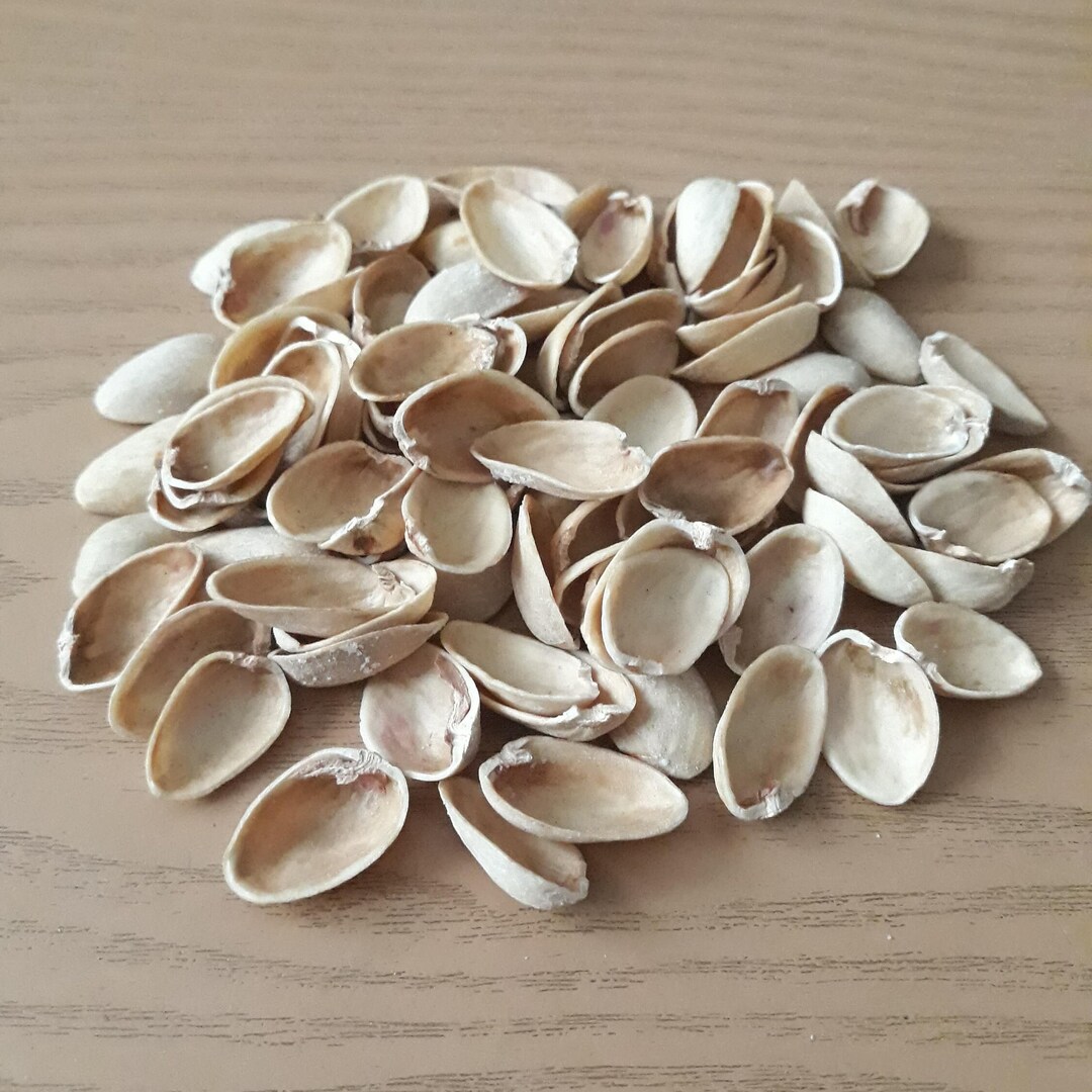 Pistachio Shells,empty Pistachio Shells,decoration,for Craft Projects ...