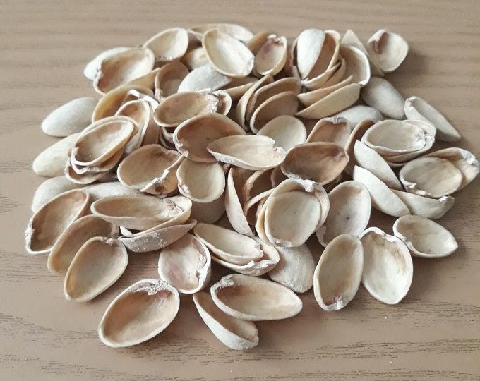 Cleaned Pistachio Shells for Arts & Crafts, Bulk 8oz DIY Craft Supplies ...