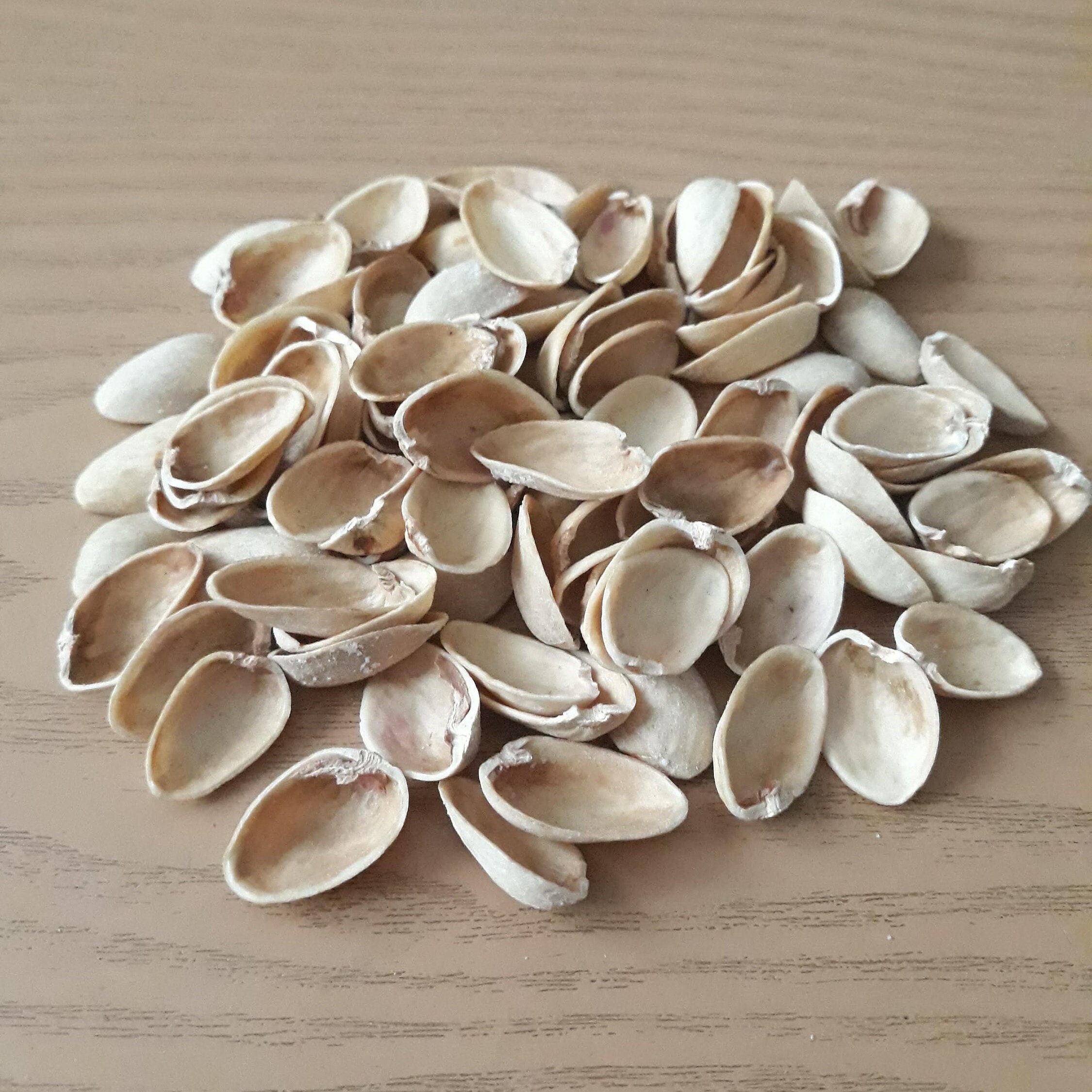Pistachio Shells,empty Pistachio Shells,decoration,for Craft Projects ...