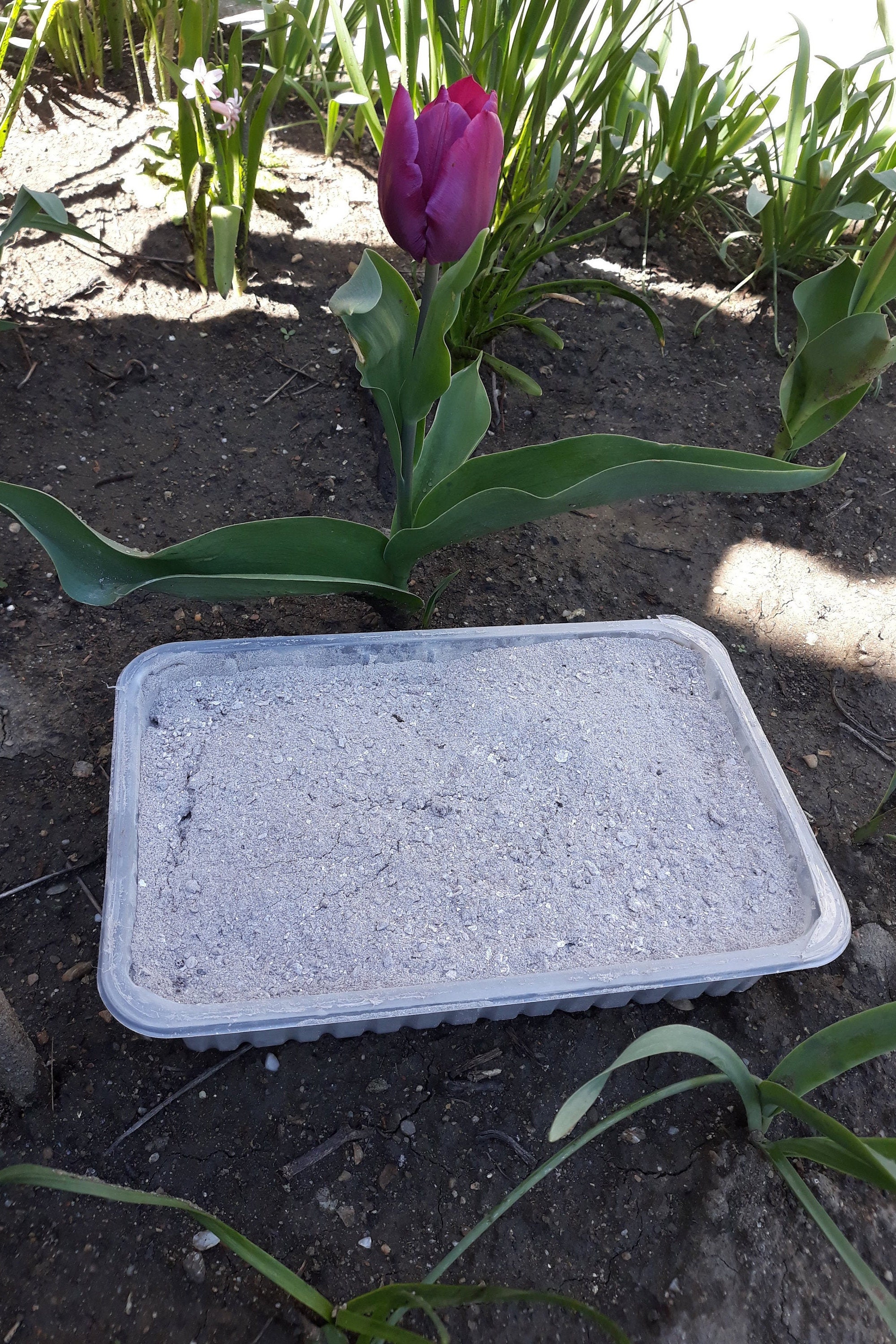 Organic Wood Ash: Soil Fertilizer, Ceramic Soap Making (400g-14oz) - Etsy