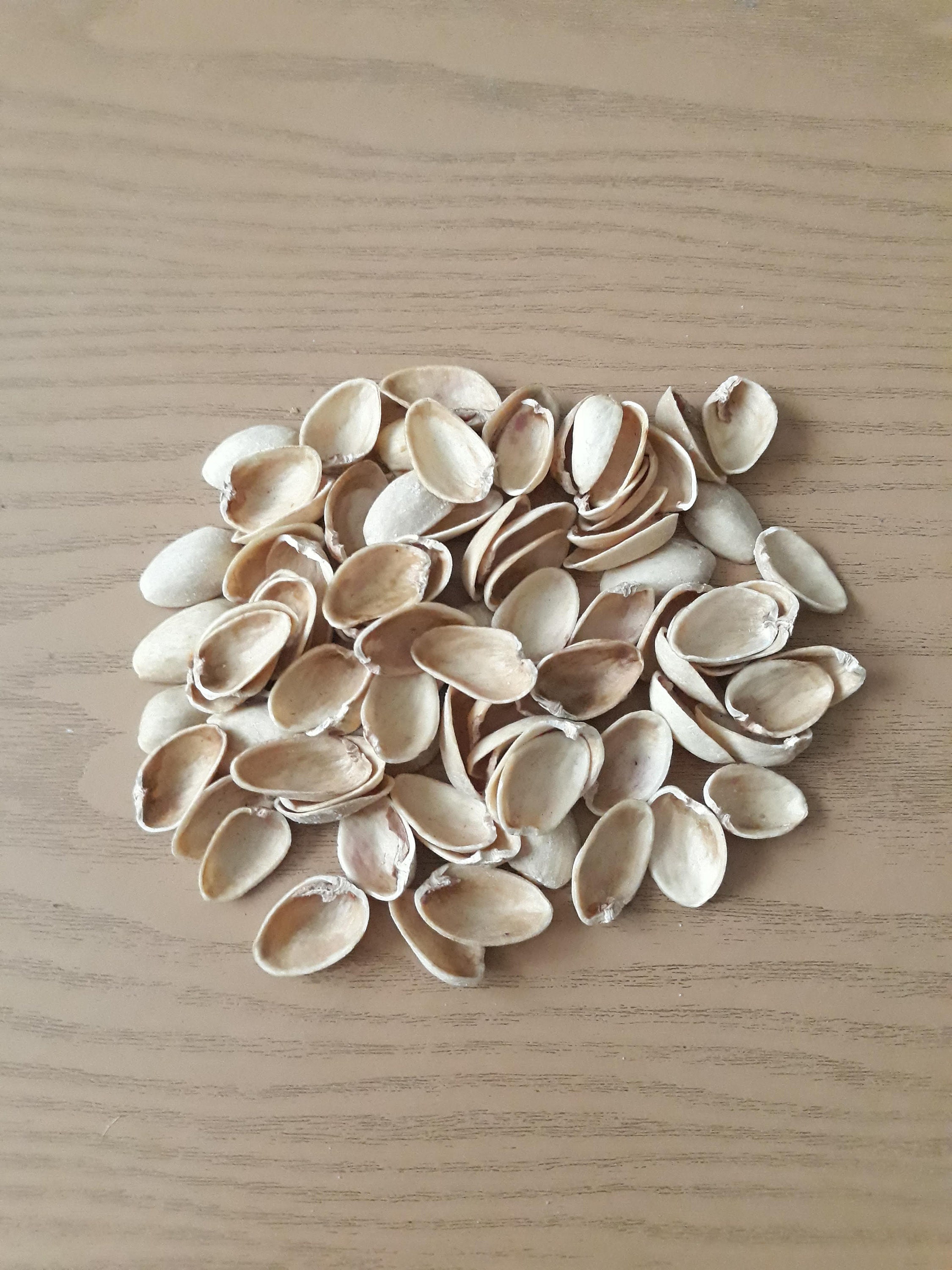 Pistachio Shells,empty Pistachio Shells,decoration,for Craft Projects ...