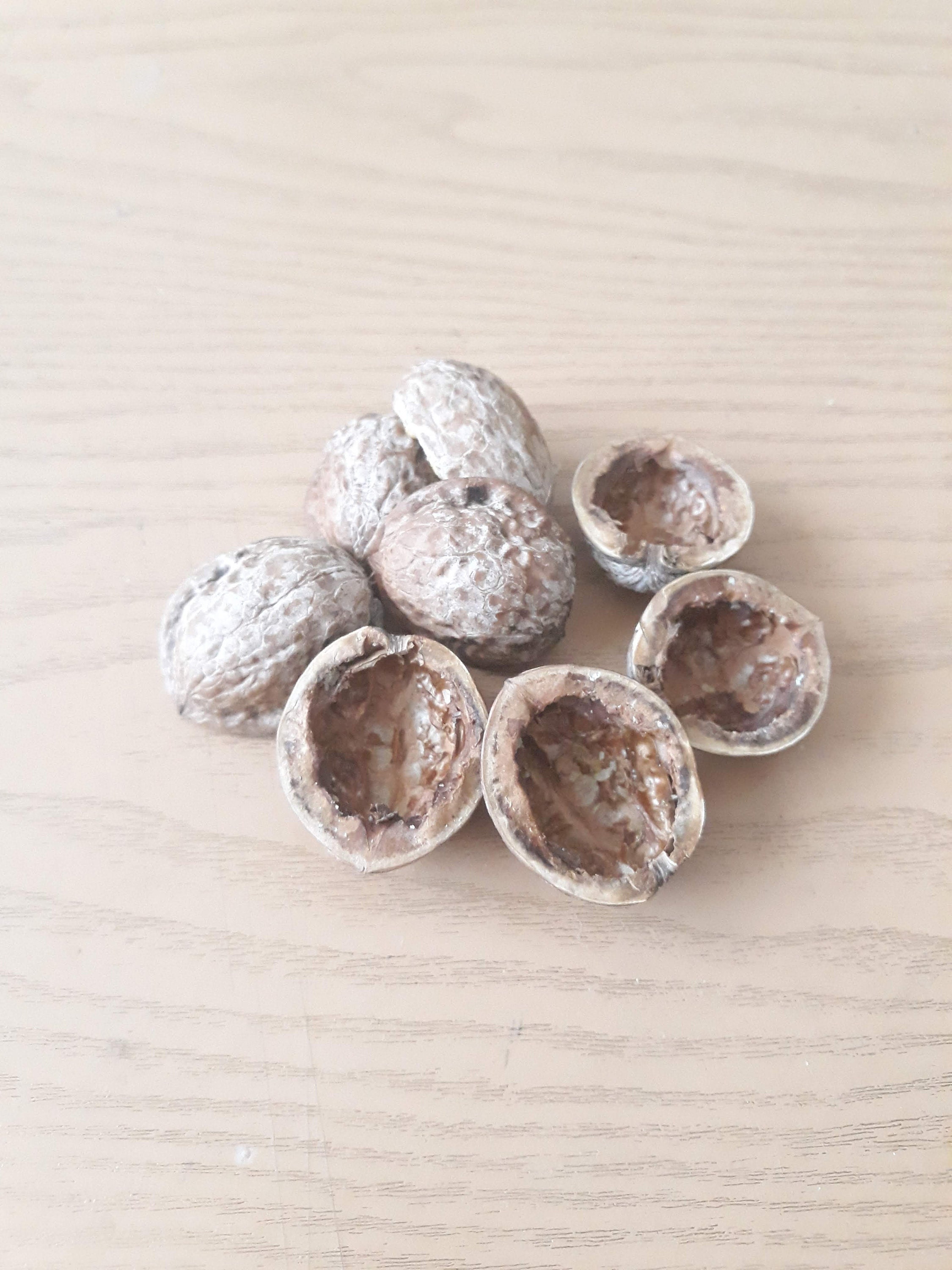 Walnut Shell Halves for Craft Projects, Walnut Shells, Craft Projects ...