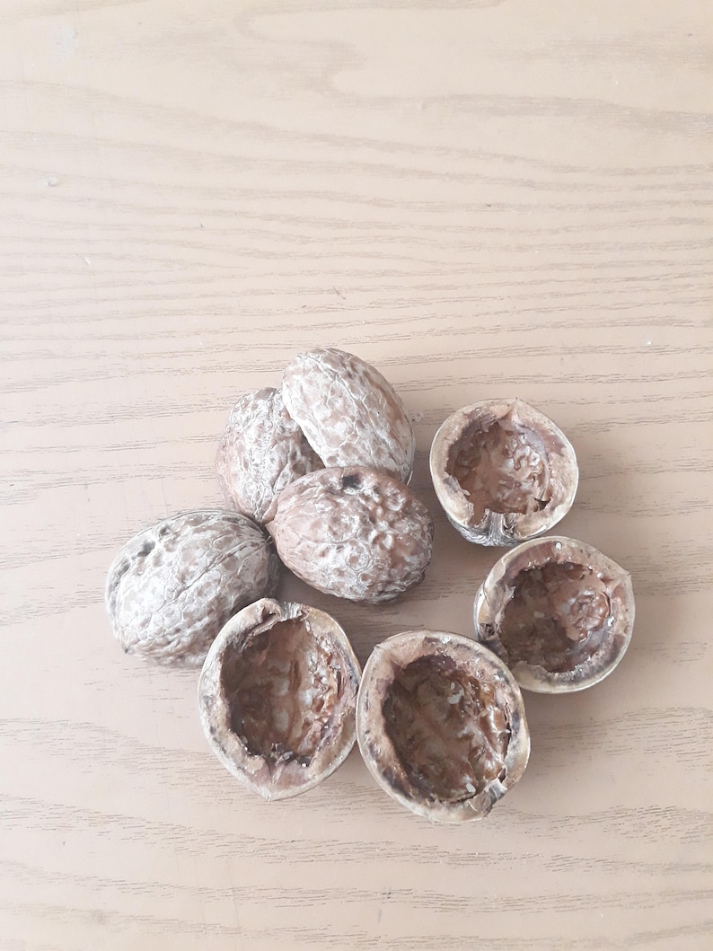 Walnut Shell Halves for Craft Projects, Walnut Shells, Craft Projects ...
