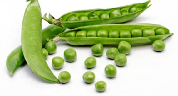 Fresh Organic Pea Seeds Sweet Peas Non-gmo Green Pea | Etsy