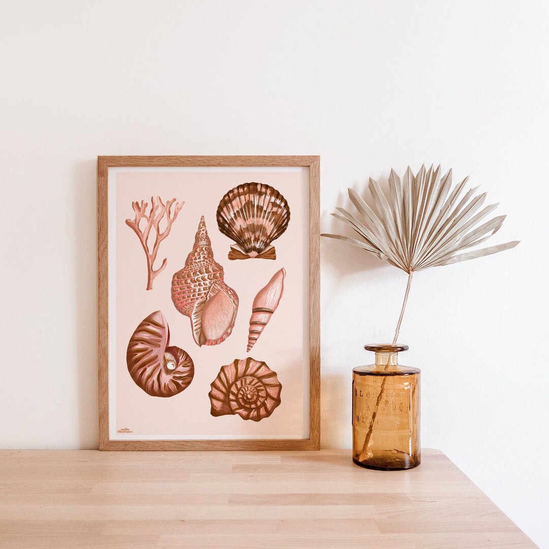 Shell Art Print, Bohemian Wall Art, Nautical Home Decor, Illustrated ...