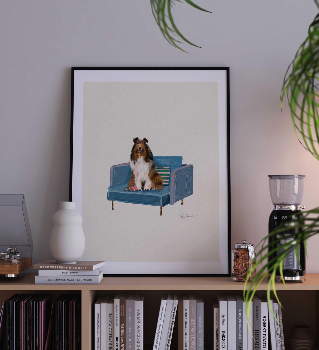 Rough Collie (lassie) Print | Dogs on Chairs Collection | 5x7 Inches ...