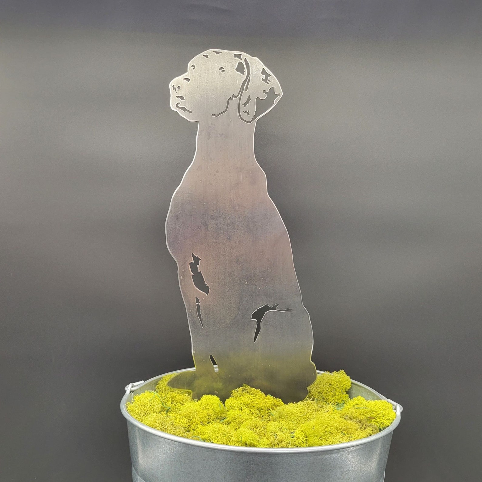 Rhodesian Ridgeback Corten Steel Dog Silhouette Rust Art - Etsy