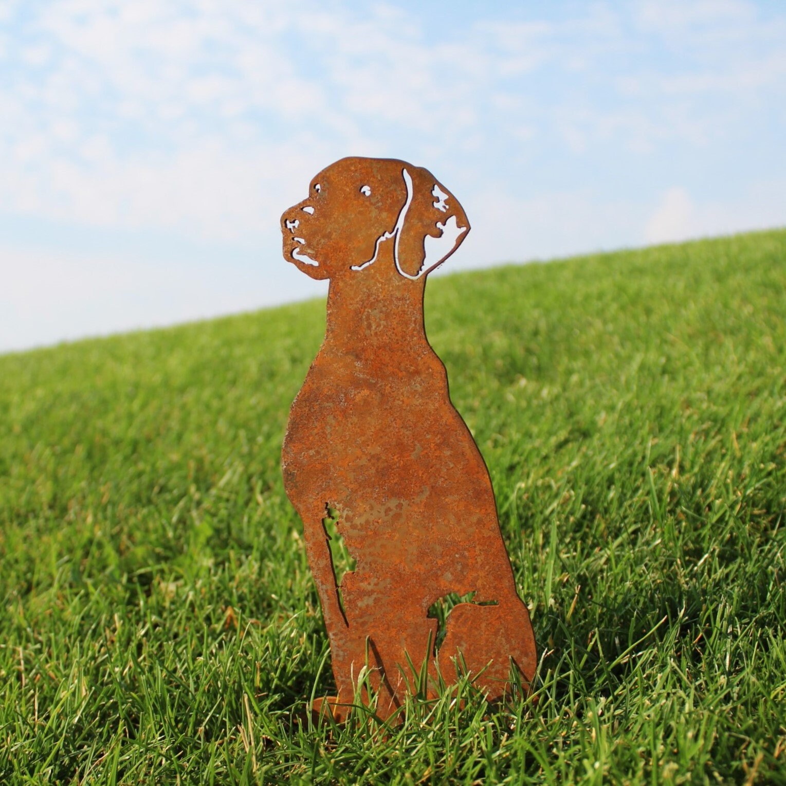 Rhodesian Ridgeback Corten Steel Dog Silhouette Rust Art - Etsy