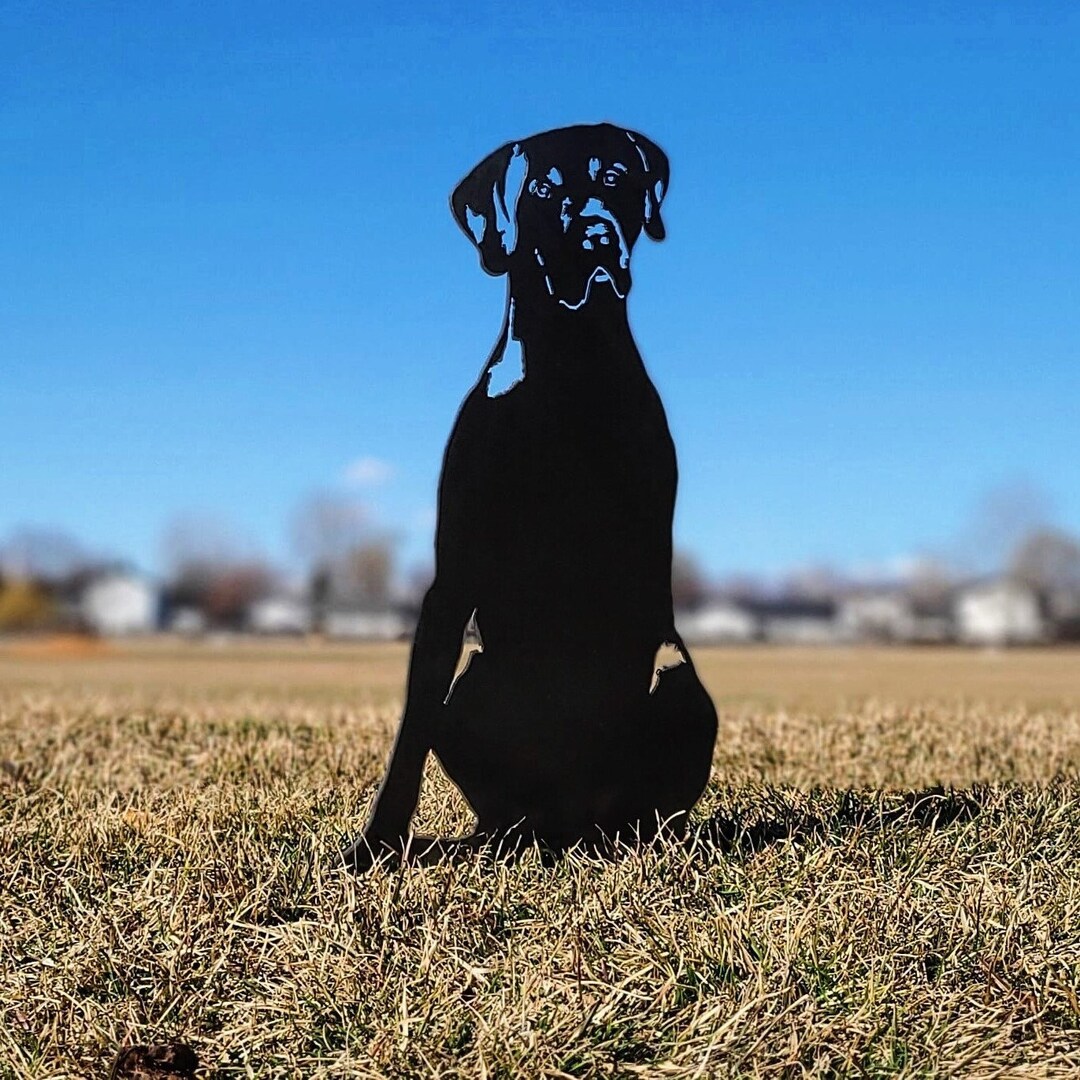 German Shorthaired Pointer Black Metal Dog Silhouette Yard - Etsy
