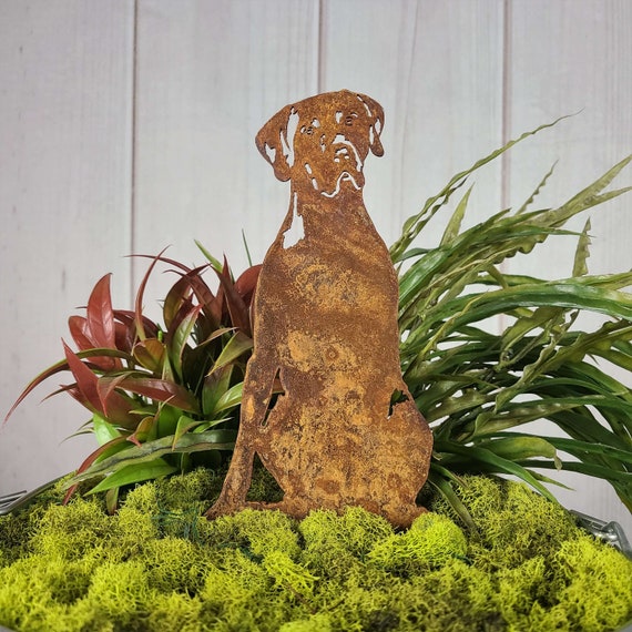 German Shorthaired Pointer Corten Steel Dog Silhouette Rust - Etsy UK