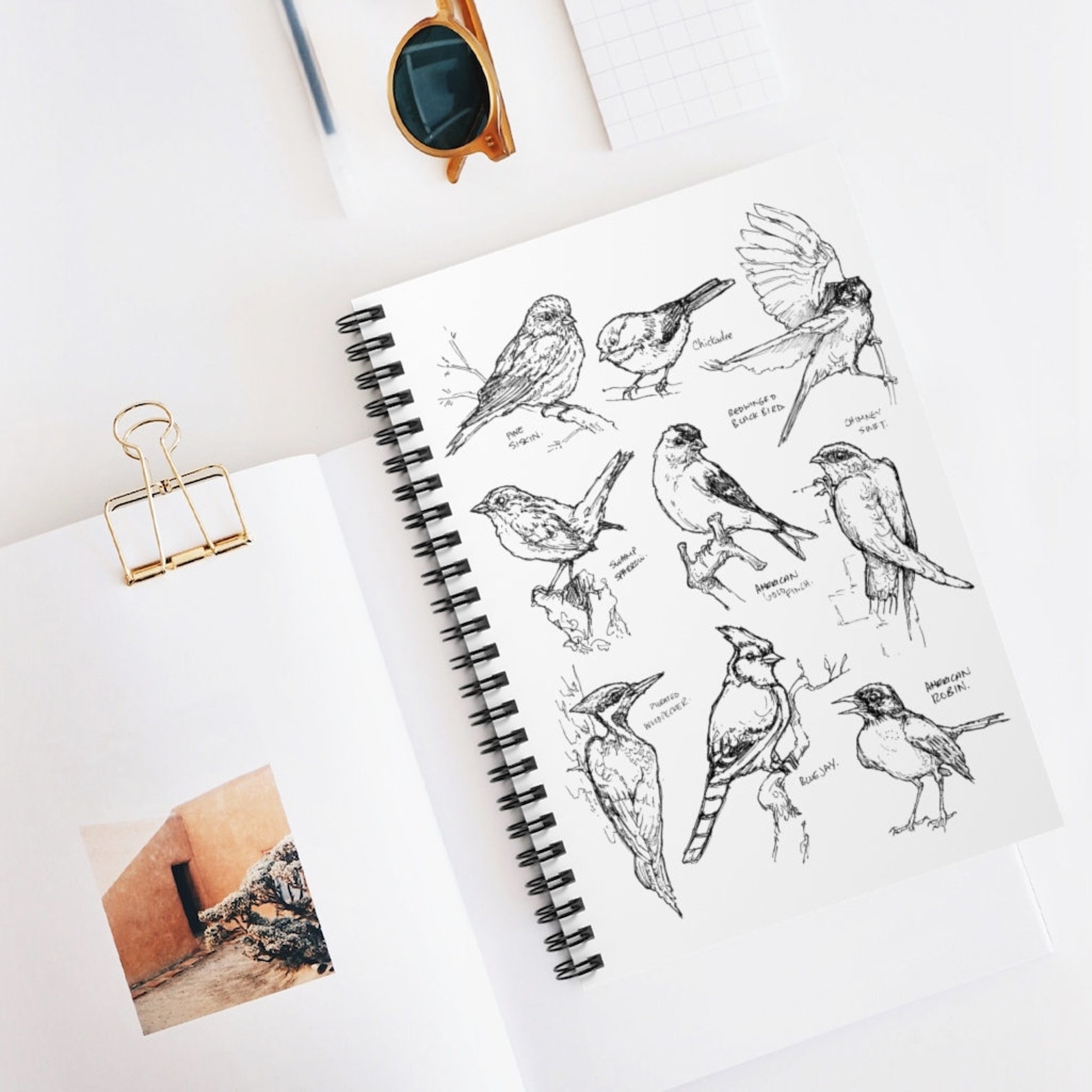 Backyard Birds Journal Notebook - Etsy