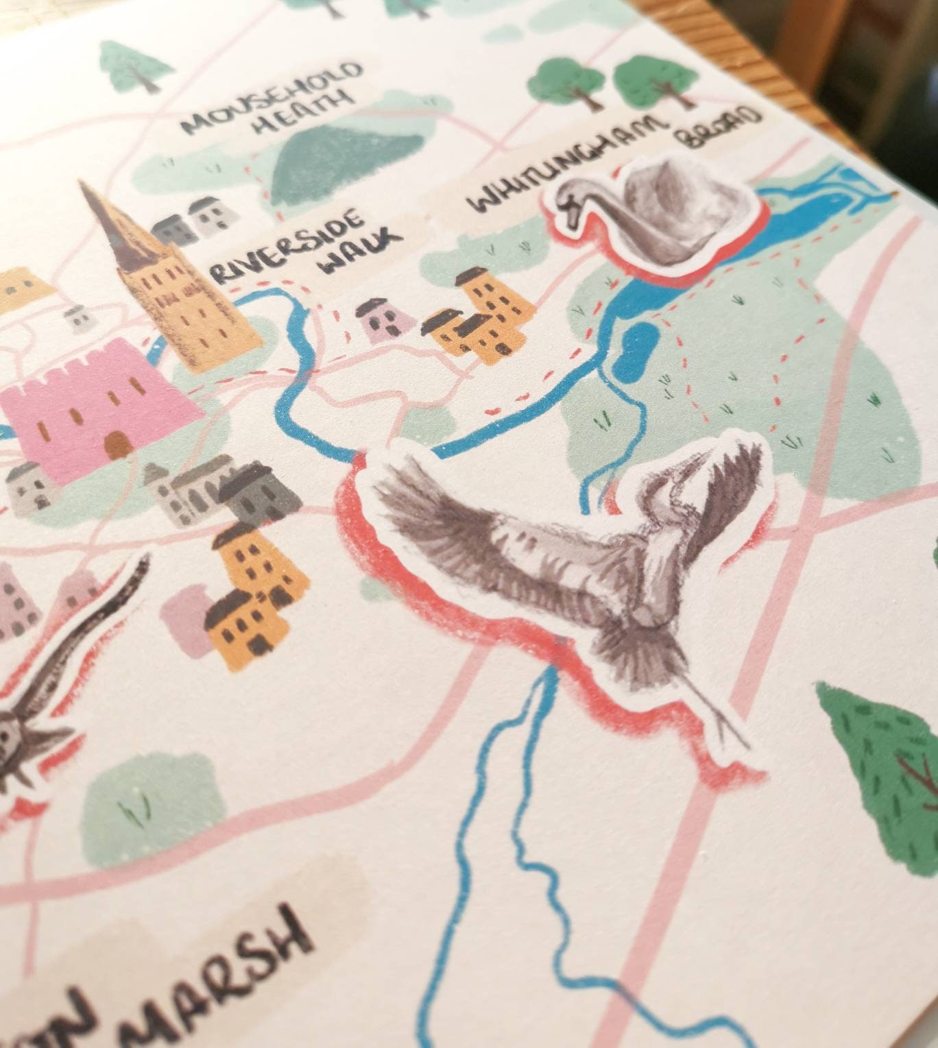 Norwich Illustrated Map green Spaces in Norwich Mousehold Heath ...