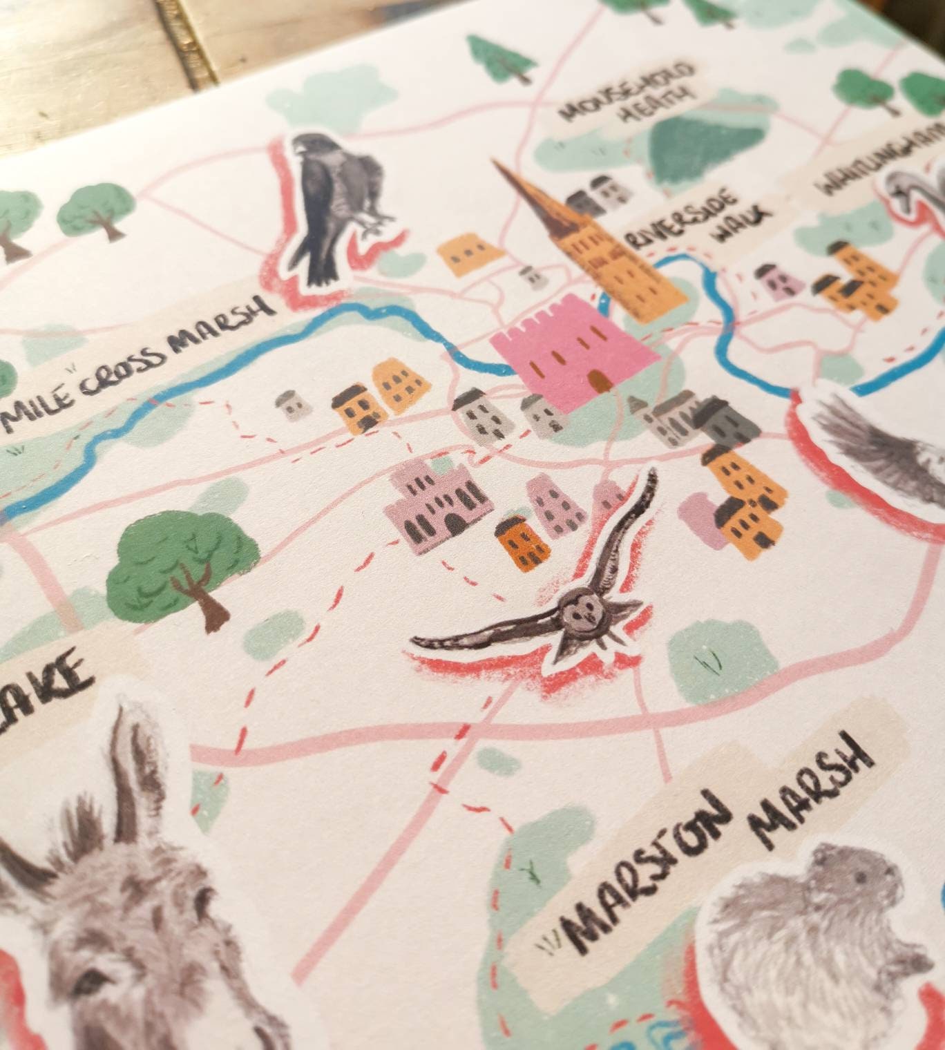 Norwich Illustrated Map green Spaces in Norwich Mousehold Heath ...