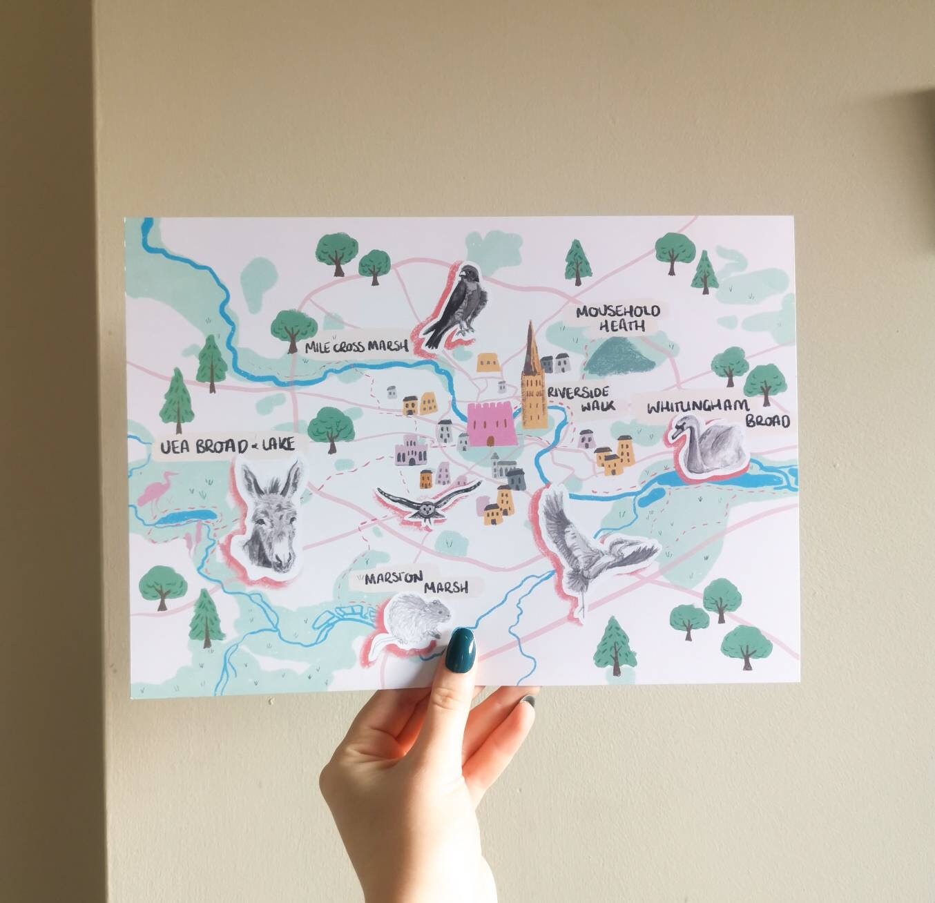 Norwich Illustrated Map green Spaces in Norwich Mousehold Heath ...