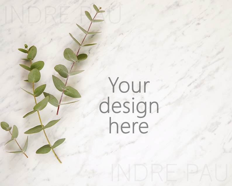 Background Mockup Styled Stock Photo Background Digital - Etsy