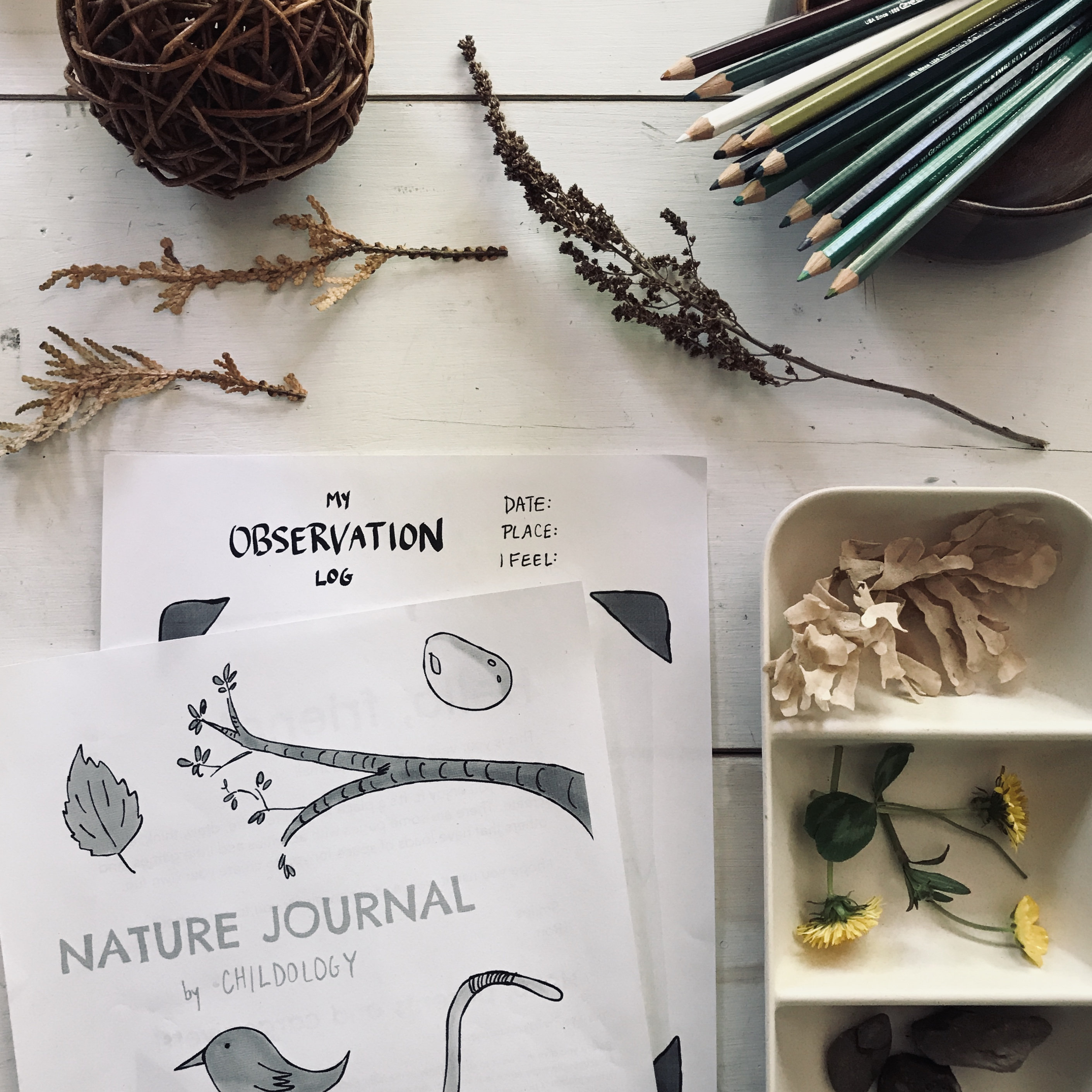 Children's Nature Journal - Etsy