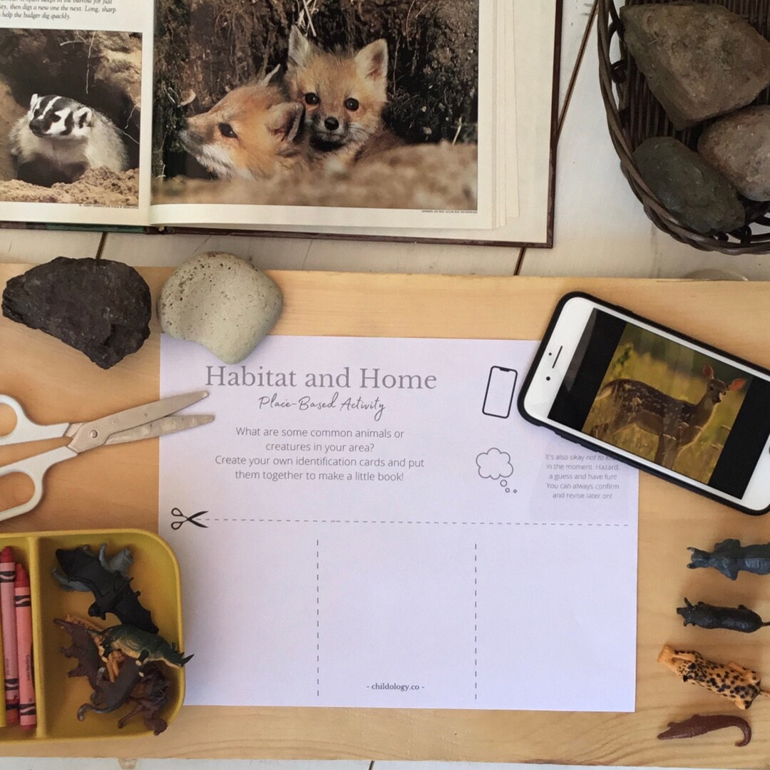 Habitats Nature Mini Workbook - Etsy