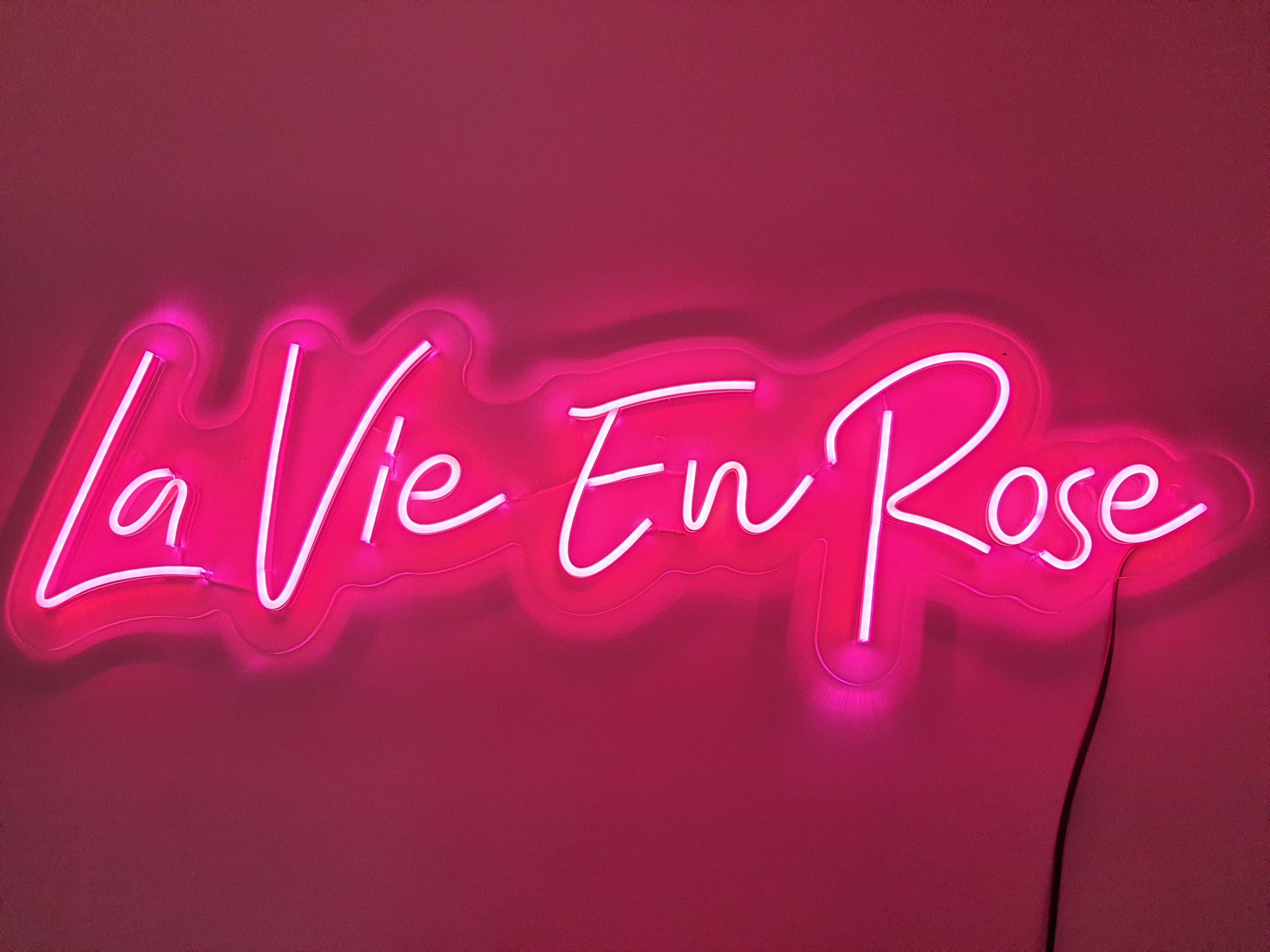 La Vie En Rose Neon Signla Vie En Rose Neon Lightla Vie En | Etsy