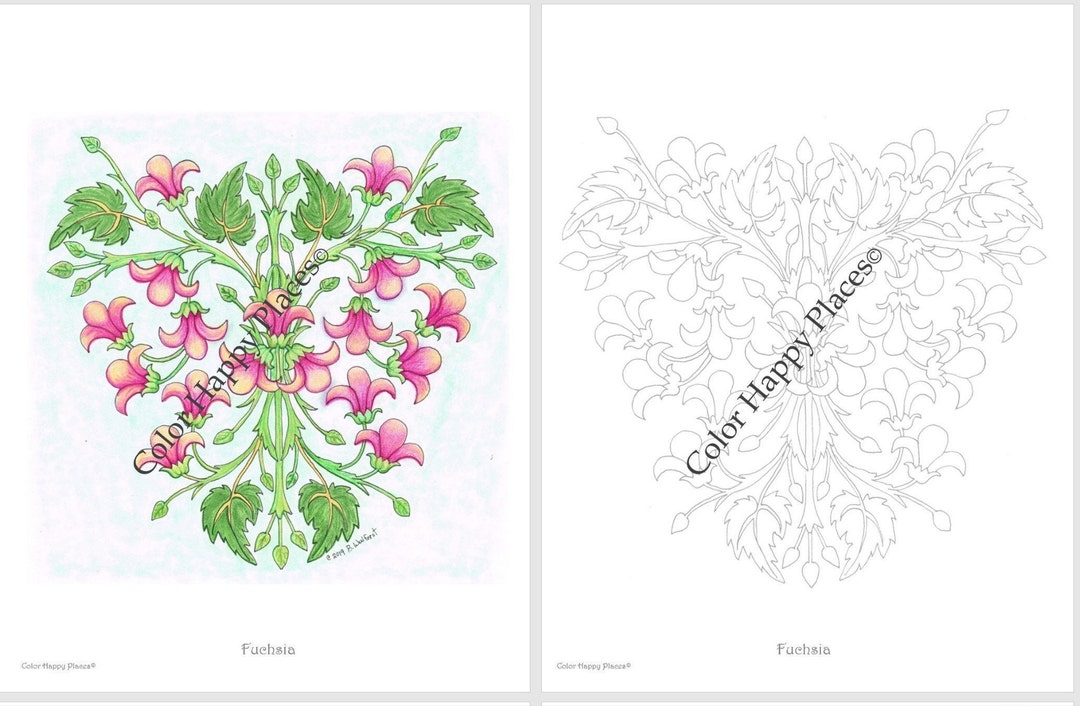 Fuchsia Coloring Page Quick Digital Download Adult Coloring Page ...