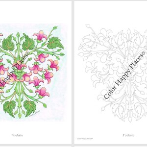 Fuchsia Coloring Page Quick Digital Download Adult Coloring Page ...