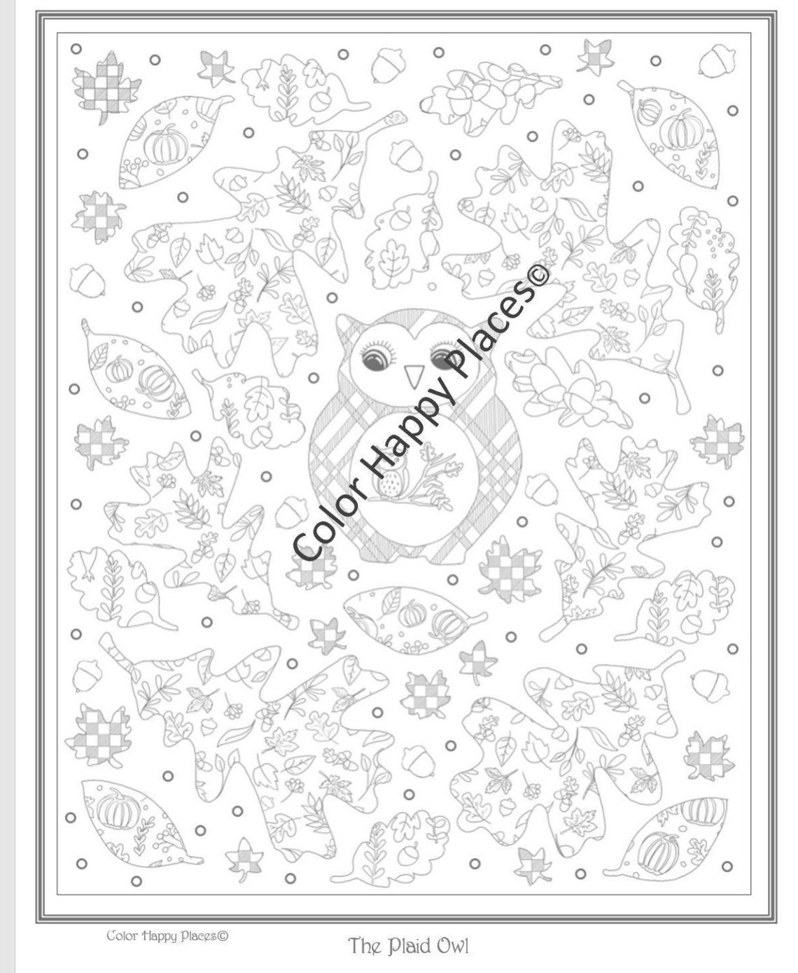 The Plaid Owl Coloring Page Color Online or Print Adult Coloring Page ...