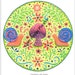 Toadstool With Snails I Coloring Page Online or Print Adult Coloring ...