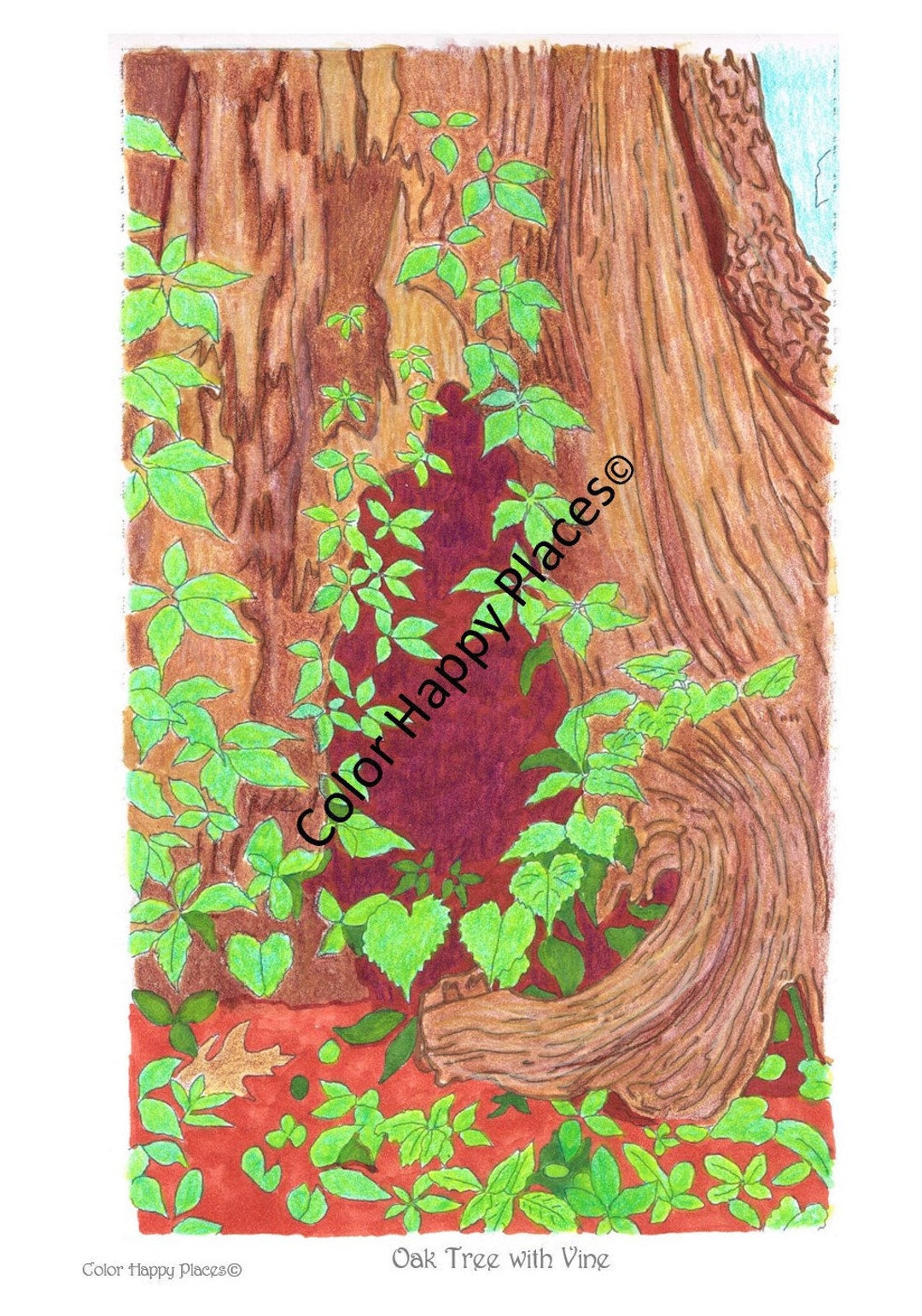 Oak Tree Coloring Page Printable Coloring Pages for Adults Coloring ...