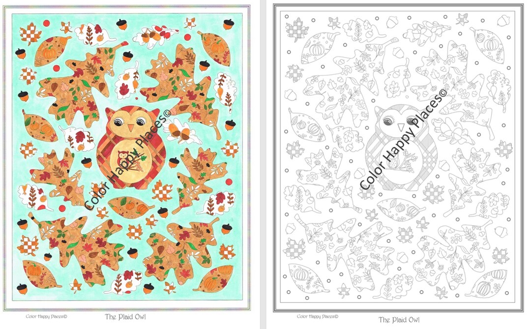 The Plaid Owl Coloring Page Color Online or Print Adult Coloring Page ...