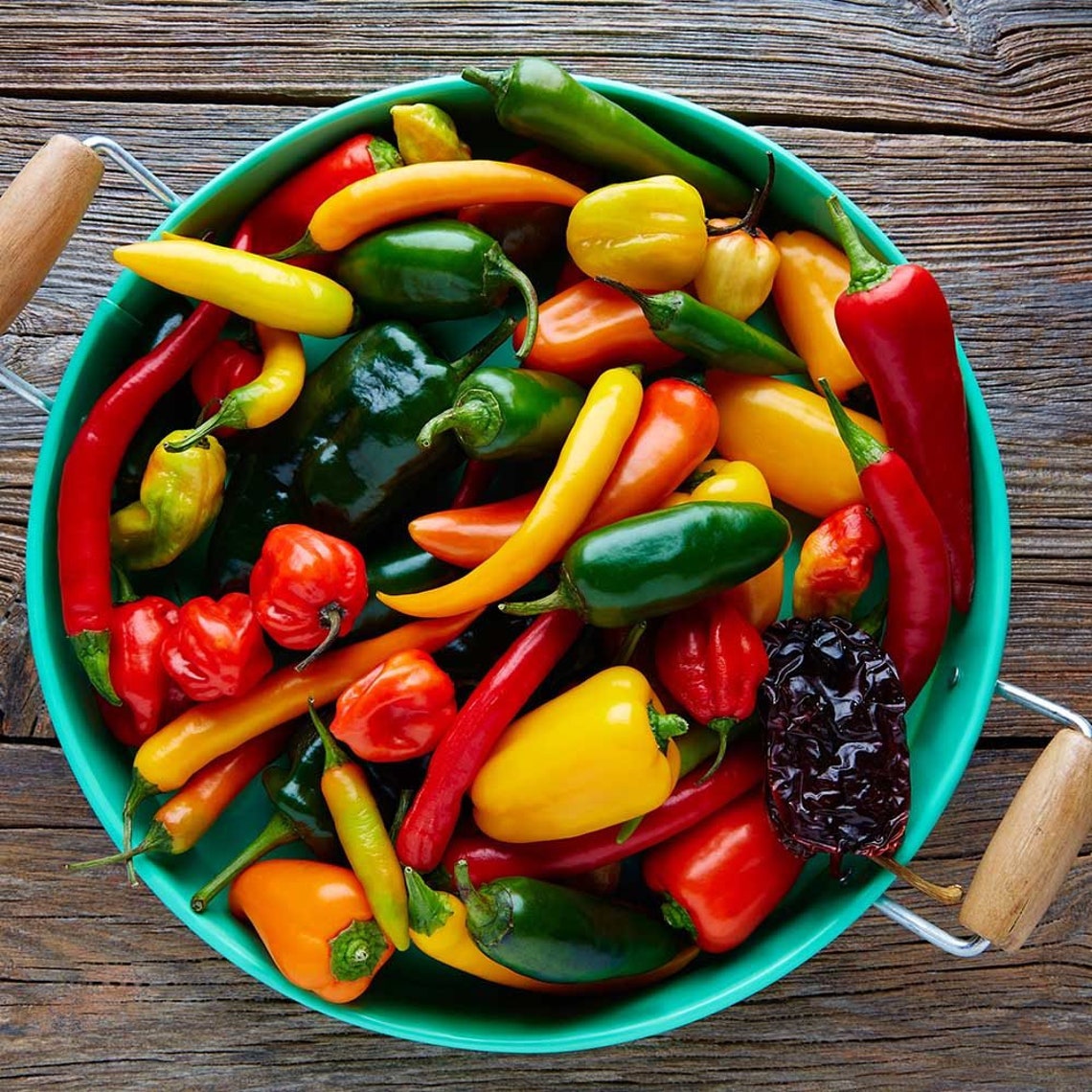 New Mexico Chili Pepper mix cooking garden seeds kit 40 seeds HEIRLOOM ...