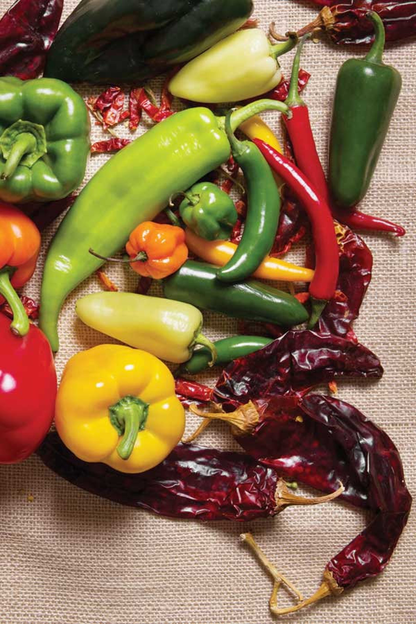New Mexico Chili Pepper mix cooking garden seeds kit 40 seeds HEIRLOOM ...
