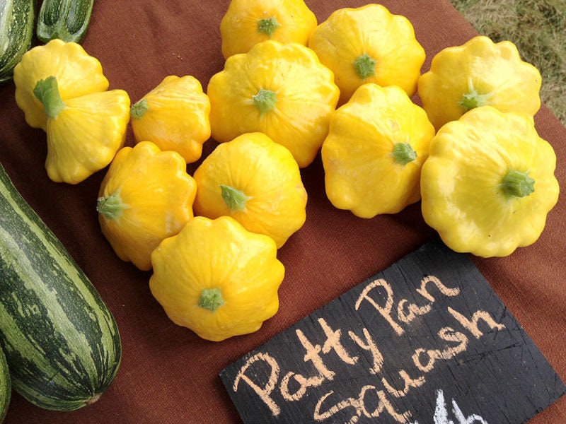 No. #4 Heirloom Vegetable 150+ Seeds 6 Variety Garden Set Emergency ...