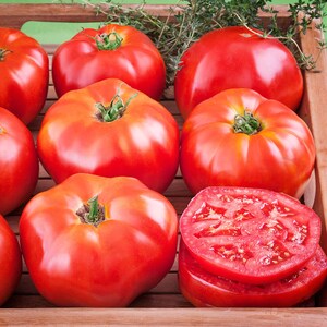 No. #4 Heirloom Vegetable 150+ Seeds 6 Variety Garden Set Emergency ...