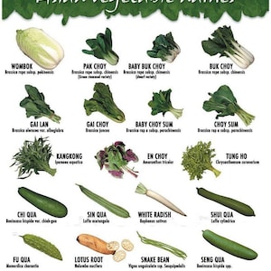 Essential Survival Kit Perfect Vegetable Garden Save Seed 5 Varieties ...