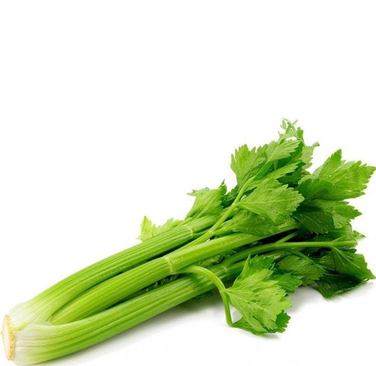 No. 4 Heirloom Vegetable 150 Seeds 6 Variety Garden Set Emergency ...