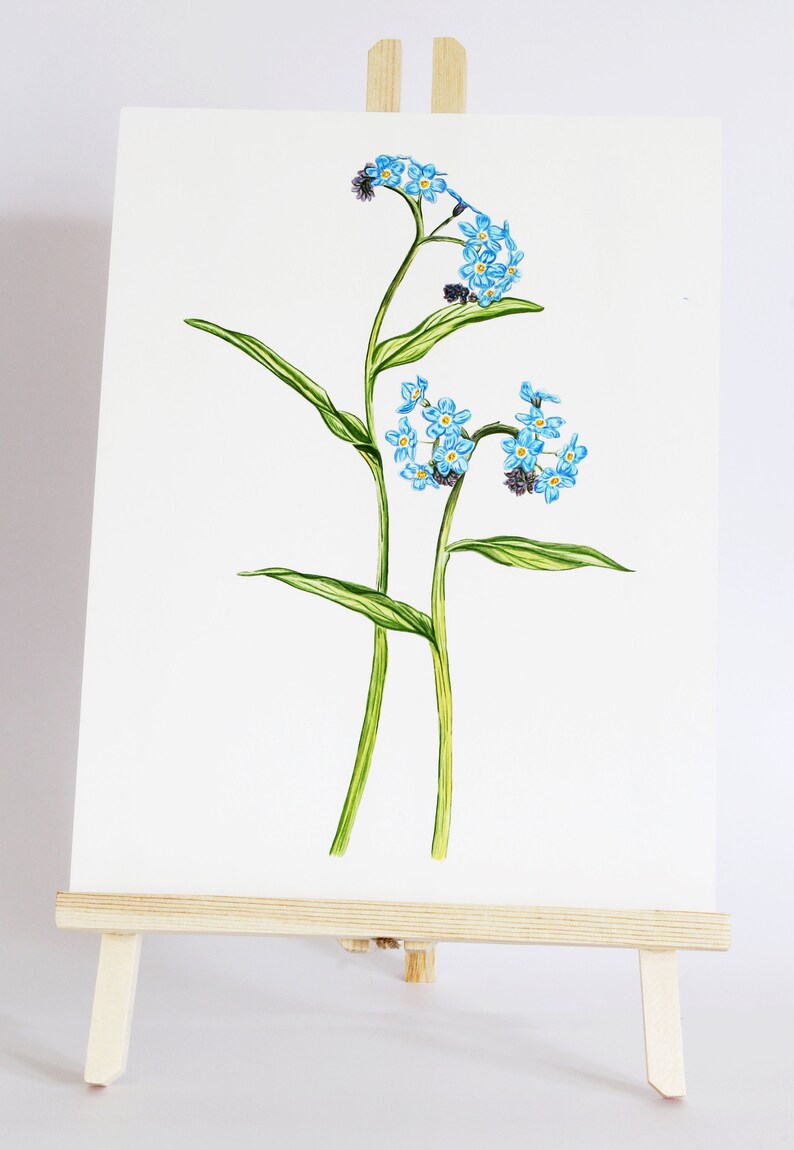 A4 Original Forget-me-not Watercolour - Etsy