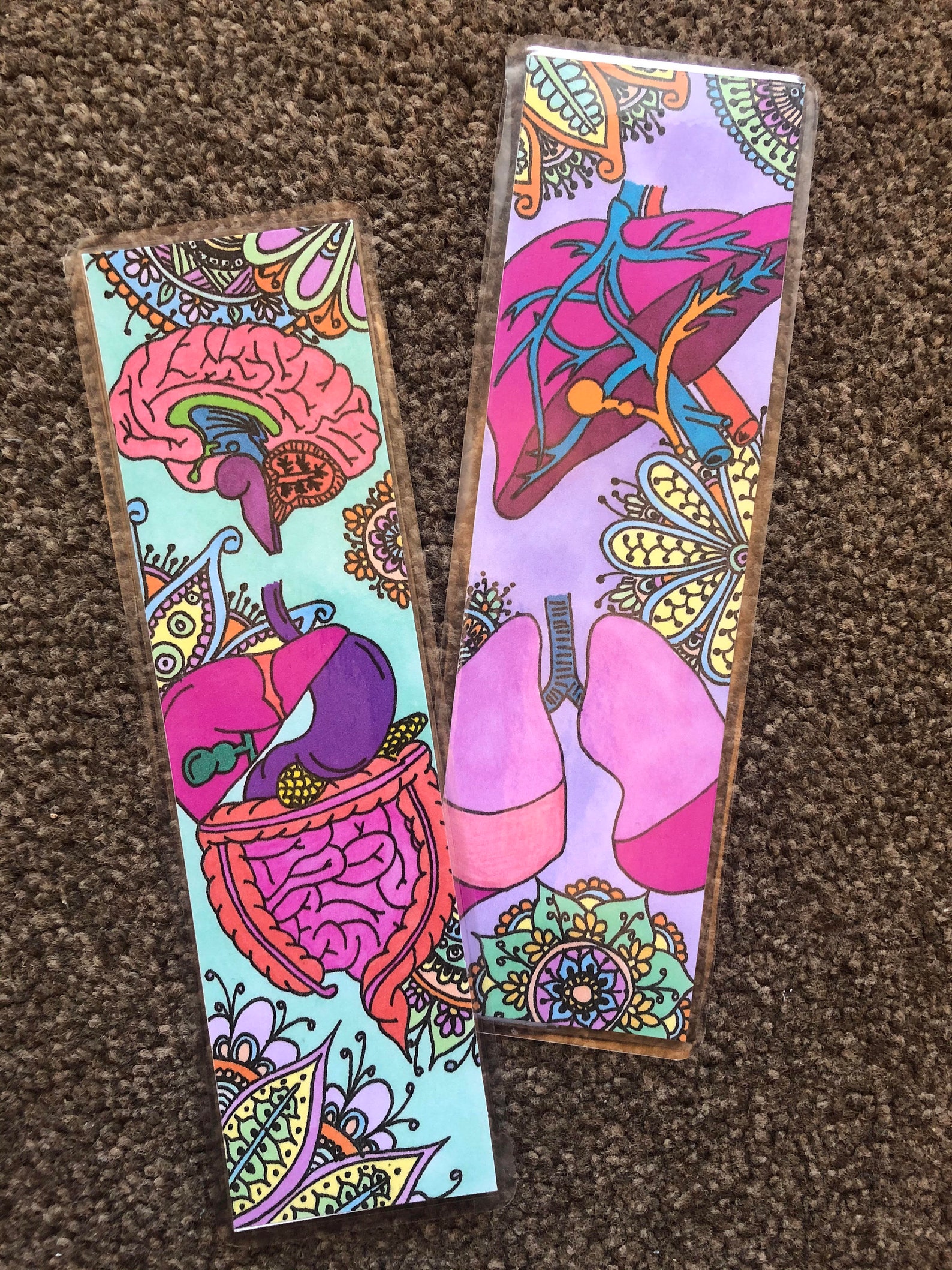 Complete Anatomy Bookmark Tewsbob complete-anatomy-bookmark-tewsbob