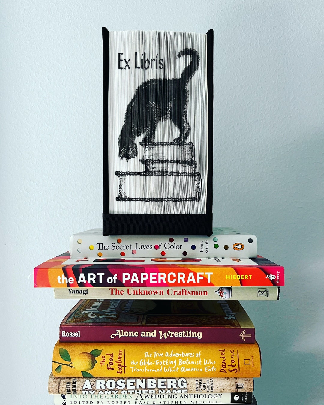 Ex Libris Cat Photo Strip Art Pattern - Etsy