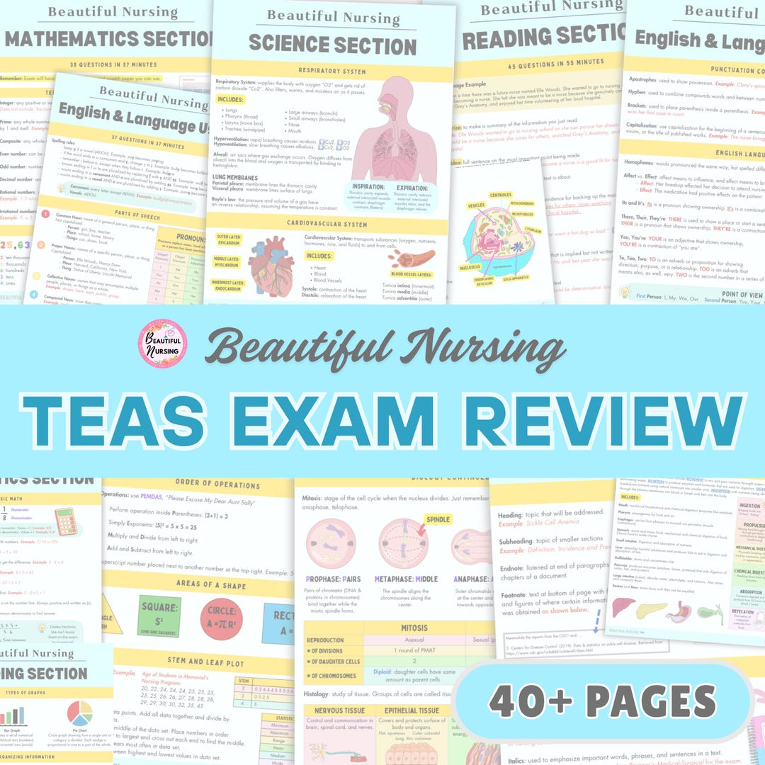 TEAS Exam 7 Review | 40+ Pages - Etsy