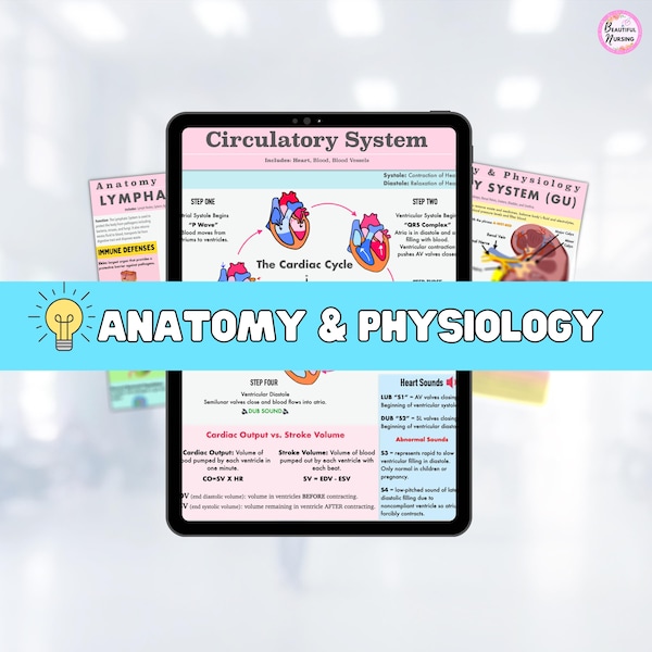 Renal/urinary System & Diseases, Nursing Study Guides, Nursing Notes ...