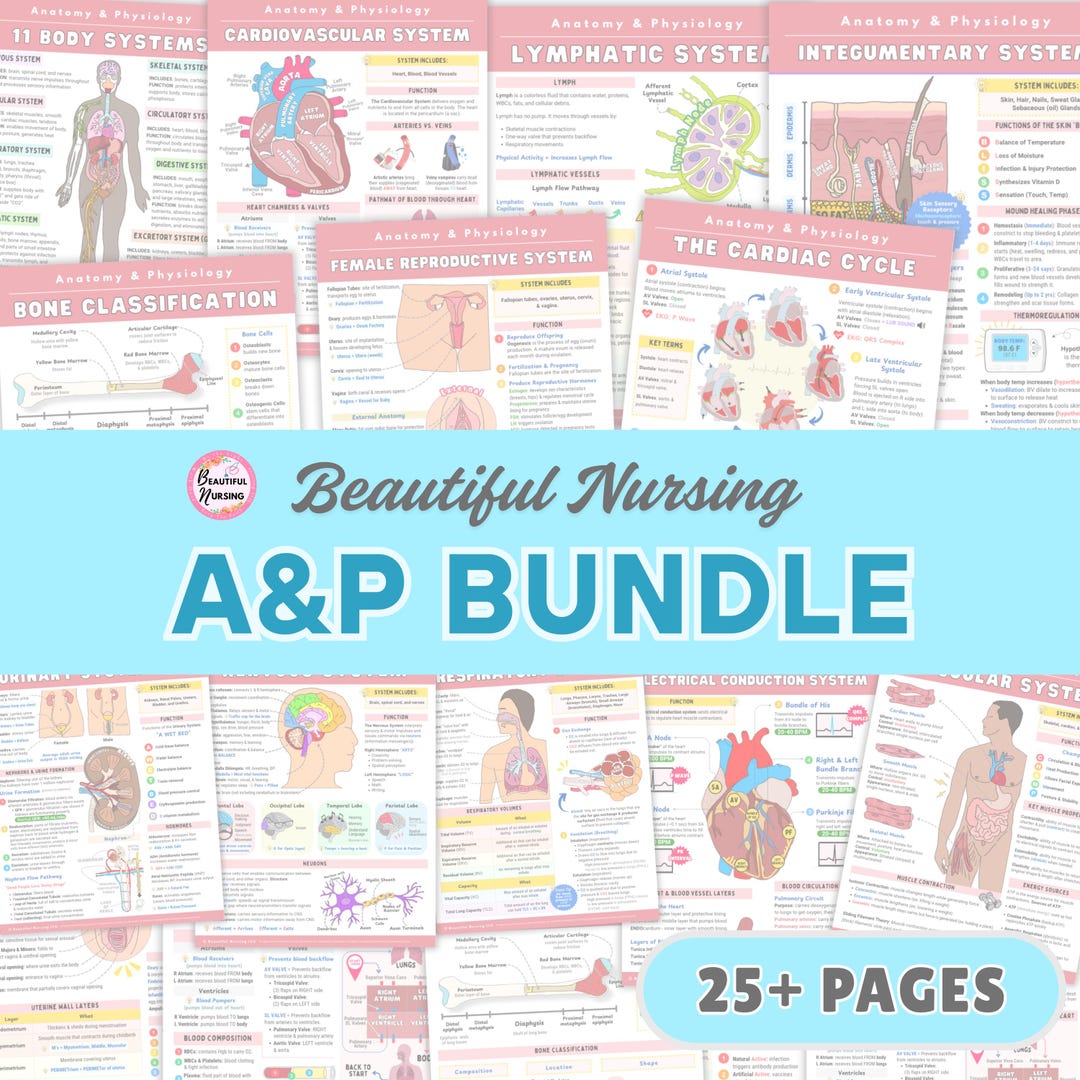 Anatomy & Physiology Bundle | 25+ Pages - Etsy